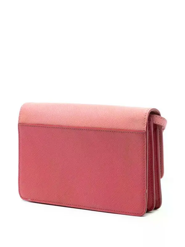 Prada 2010-2026 Bicolor Saffiano Lux Wallet On Strap - Pink