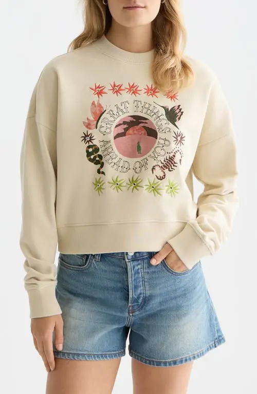 Scotch & Soda Cotton Embroidered Sweatshirt - Fog