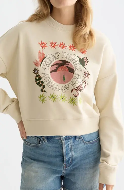 Scotch & Soda Cotton Embroidered Sweatshirt - Fog