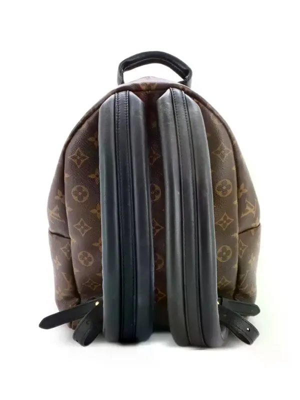 LOUIS VUITTON Palm Springs Monogram Canvas Pm Backpack - Brown