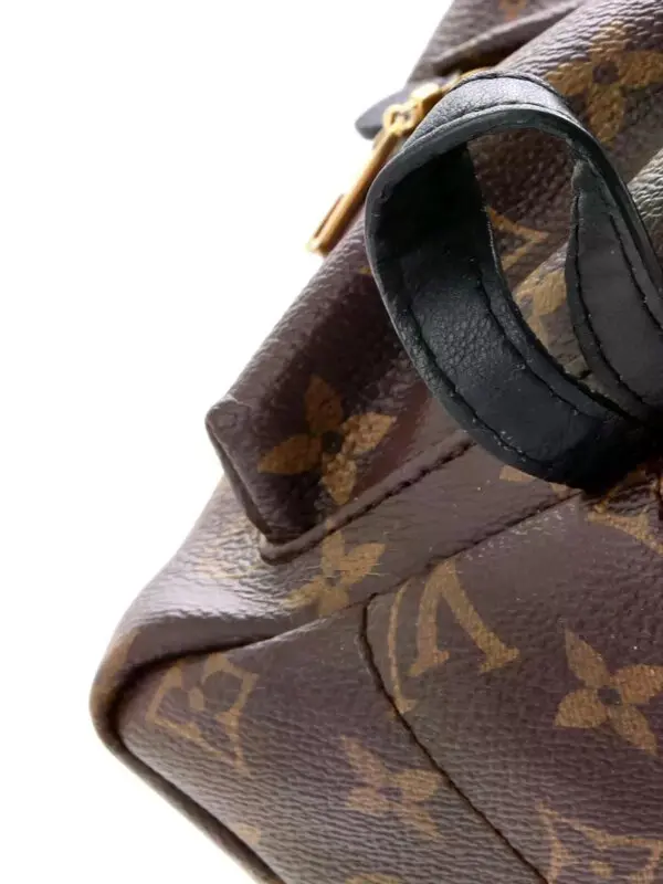 LOUIS VUITTON Palm Springs Monogram Canvas Pm Backpack - Brown