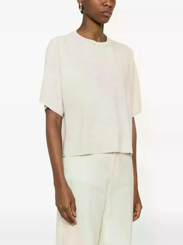 Fabiana Filippi Shimmer Effect Short Sleeve Sweater
