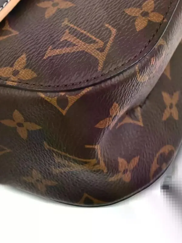 LOUIS VUITTON 2018 Monogram Chain Handbag