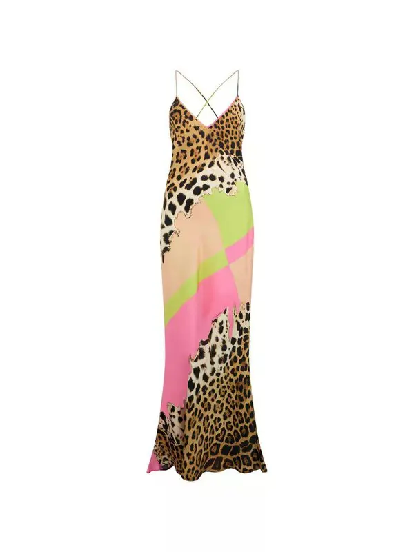 Roberto Cavalli Animal-print Maxi Dress - Neutrals