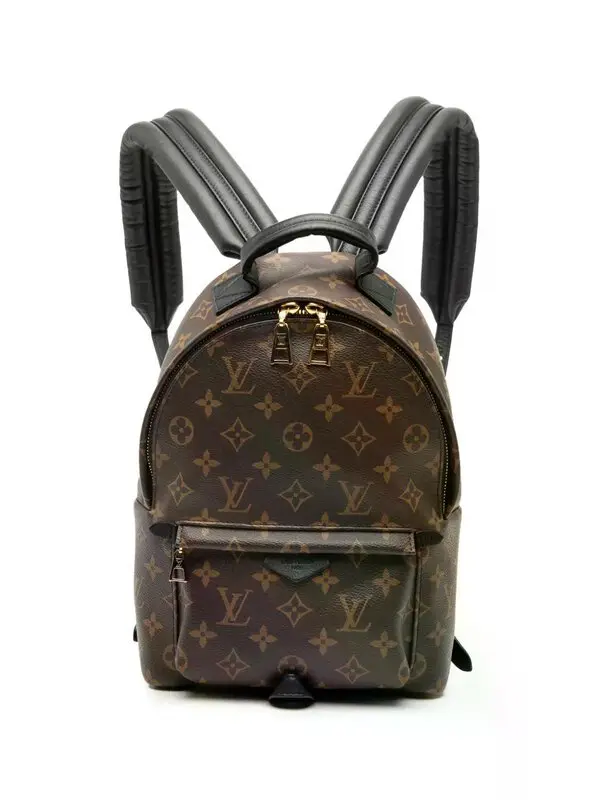 LOUIS VUITTON 2019 Monogram Palm Springs Pm Backpack - Brown