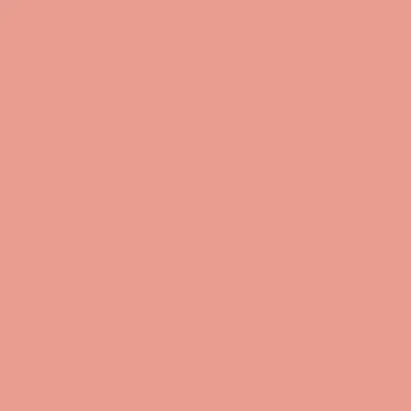 MAC COSMETICS Mineralize Blush