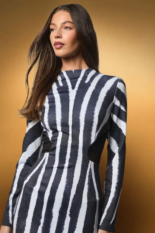 Coast Printed Maxi Dress