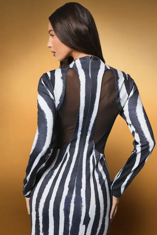 Coast Printed Maxi Dress