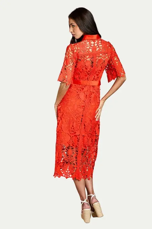 Coast Lace Short Sleeve Shirt Dress - Flame Red