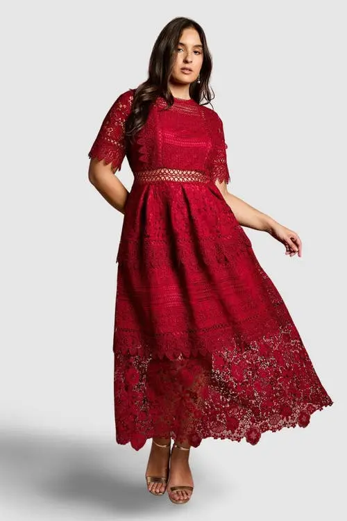 Coast Plus Short Sleeve Lace Midi Dress - Berry
