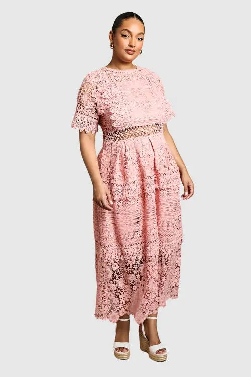 Coast Embroidered Lace Midi Dress - Blush