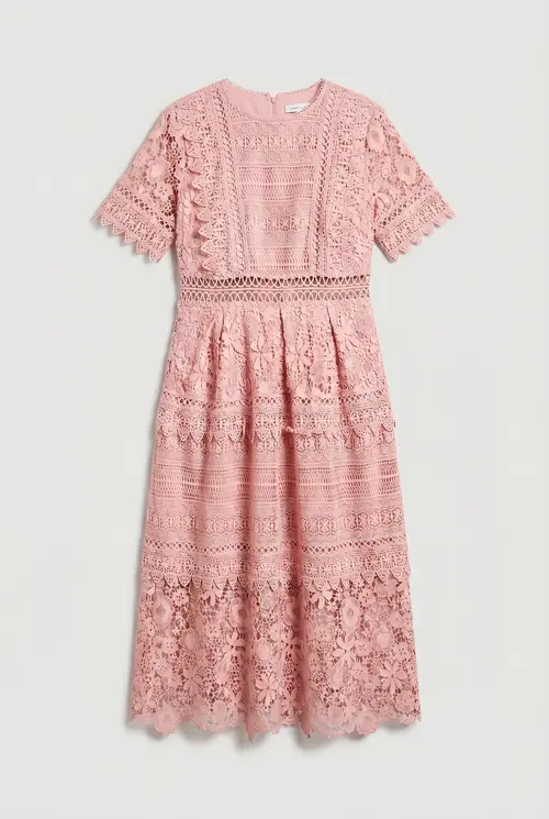 Coast Embroidered Lace Midi Dress - Blush