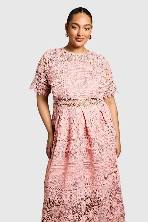 Coast Embroidered Lace Midi Dress - Blush