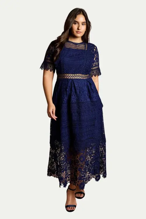 Coast Plus Embroidered Lace Midi Dress - Navy