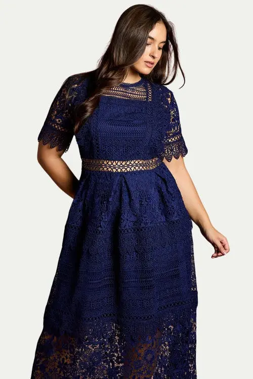 Coast Plus Embroidered Lace Midi Dress - Navy