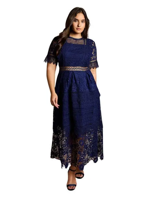 Coast Embroidered Lace Midi Dress - Navy