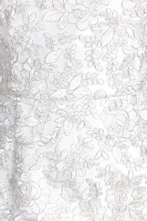 Coast Ornate Lace Maxi Dress