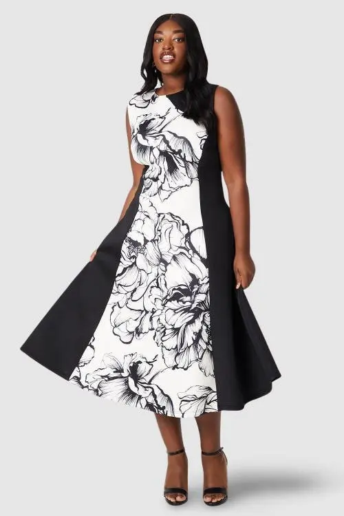 Coast Color Block Floral Scuba Midi Dress - Mono