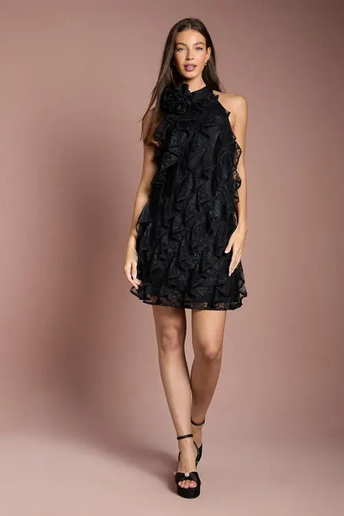 Coast Lace Frill Mini Dress