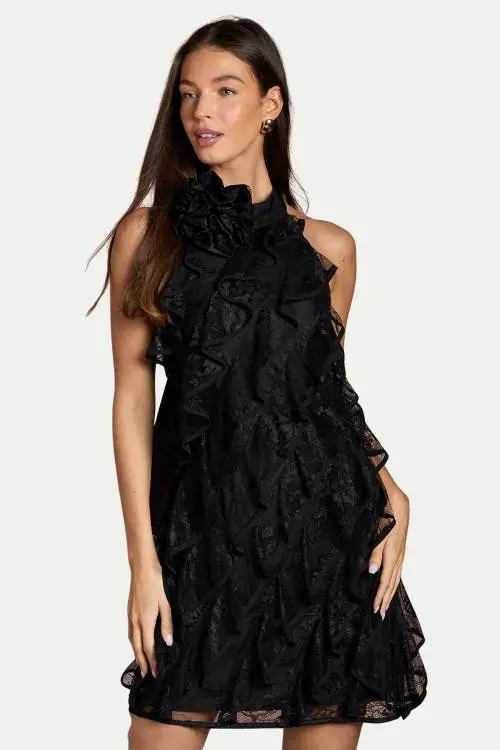 Coast Lace Frill Mini Dress - Black