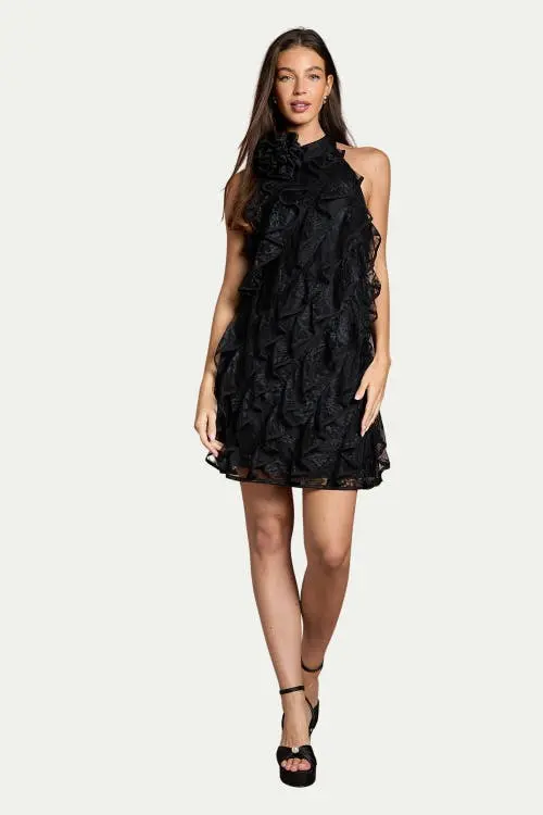 Coast Lace Frill Mini Dress - Black