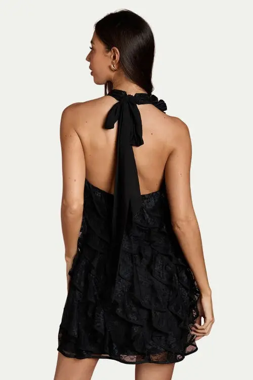 Coast Lace Frill Mini Dress - Black
