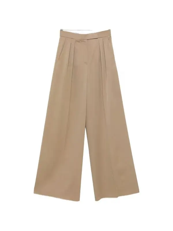 Max Mara Mxmquorum Pleated Pants - Brown