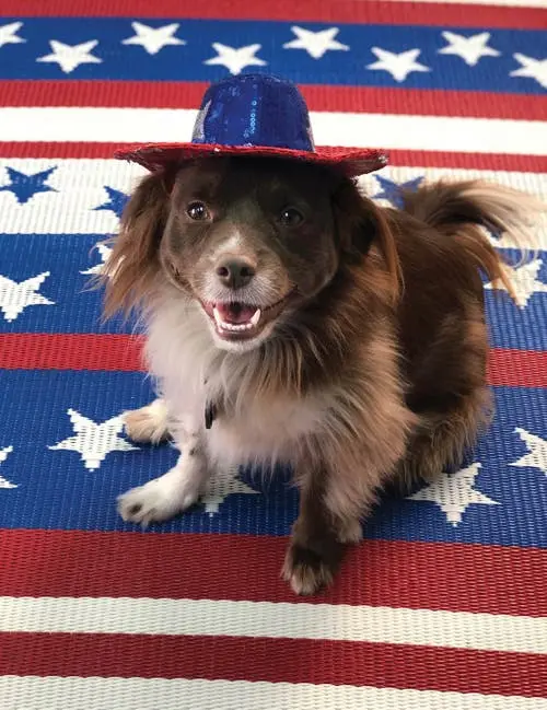 MAD MATS Cheers Red White & Blue Rug
