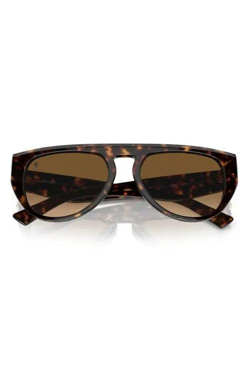 SCUDERIA FERRARI 56mm Polarized Sunglasses - Havana/polar Brown Gradient