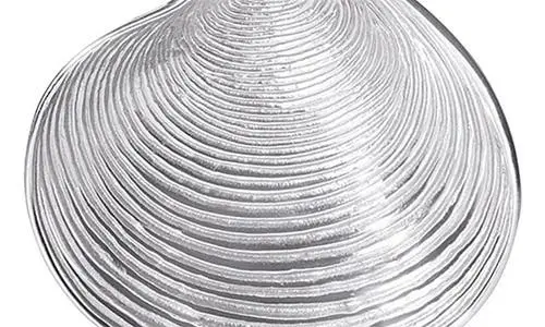 MARIPOSA Clam Sauce Dish