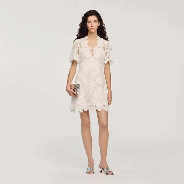 Sandro Floral Lace Mini Dress