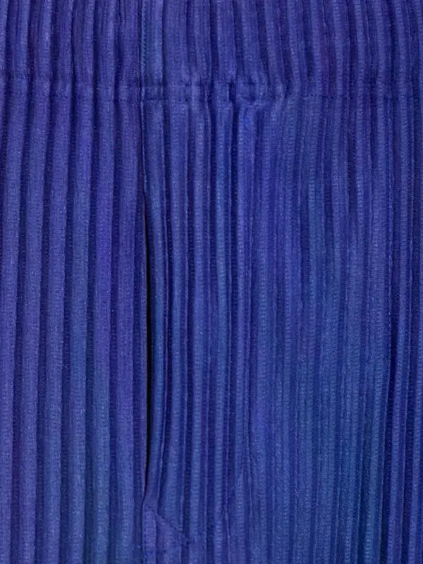 Issey Miyake Pleated Trousers