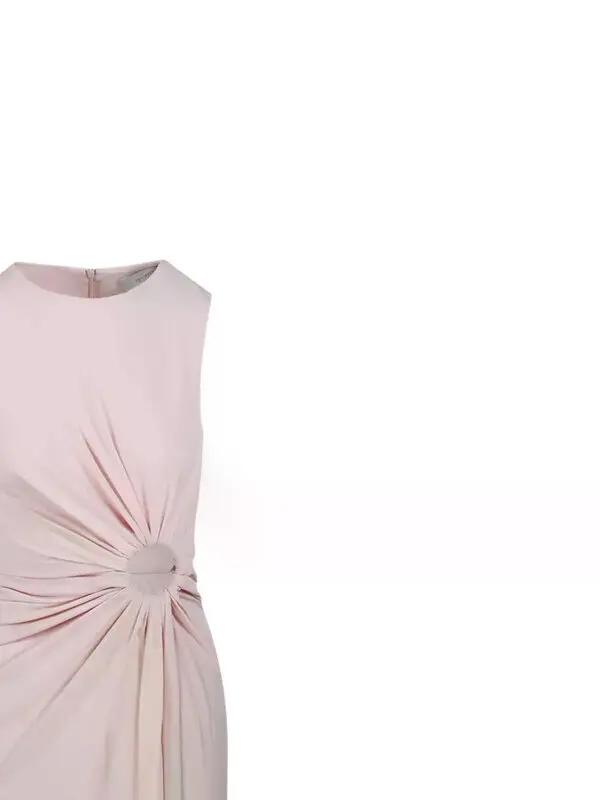 Sportmax Ring-detail Draped Maxi Dress - Pink