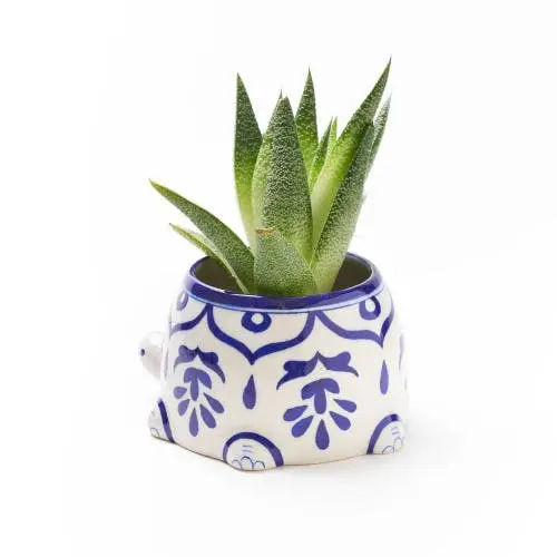 MATR BOOMIE Lalita Mama Turtle Succulent Planter