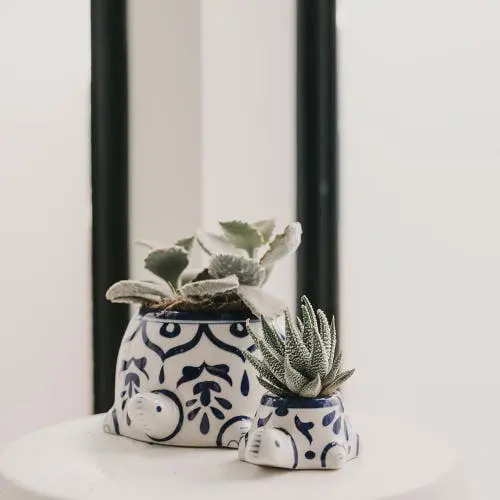MATR BOOMIE Lalita Mama Turtle Succulent Planter