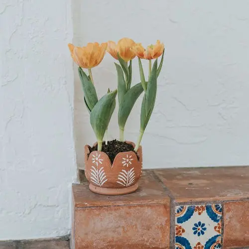 MATR BOOMIE Vasanta Petals Planter