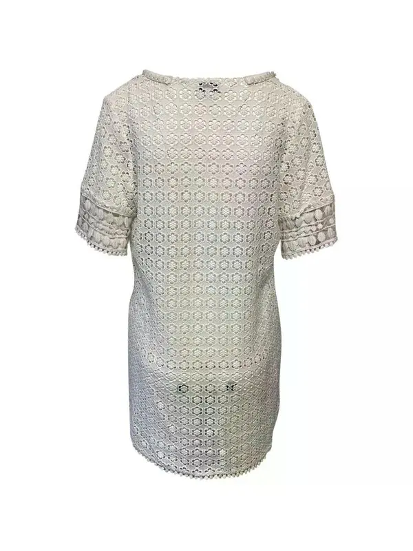 Miguelina Lace Mini Dress
