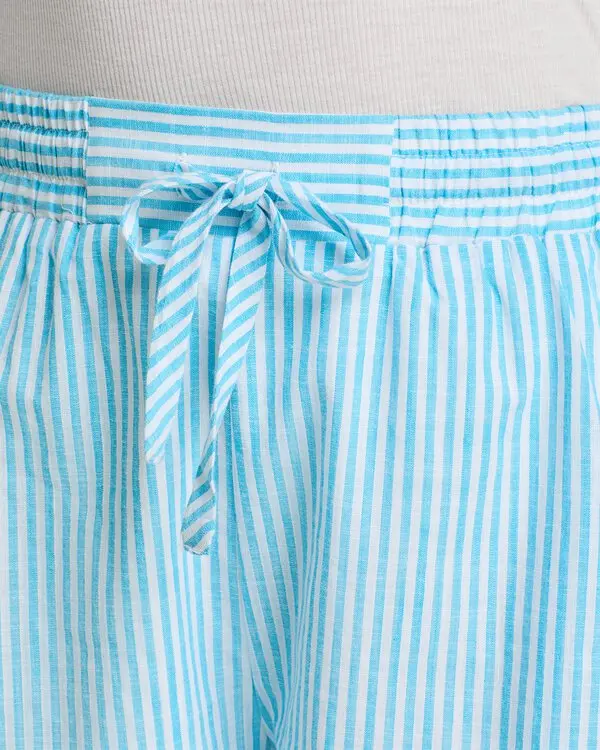 Aqua Stripe Shorts