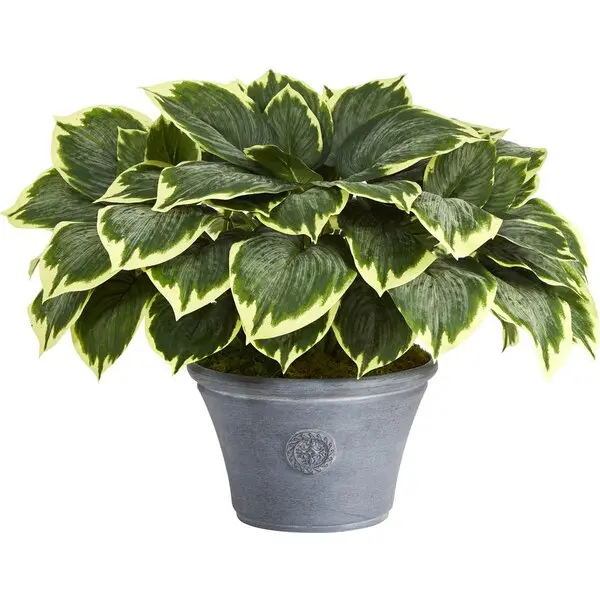 NEARLY NATURAL 23-in Variegated Hosta Artificial Plant In Gray Planter - Green