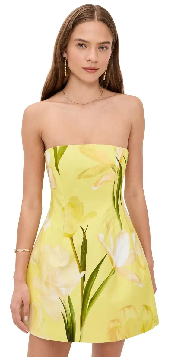 Cara Cara Ines Mini Dress - Lillian Lemon