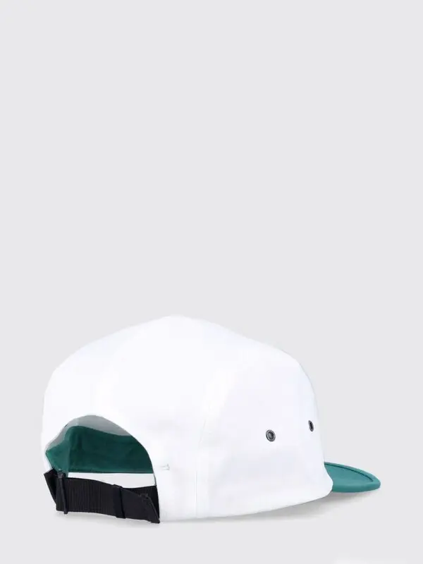 Patagonia Cap
