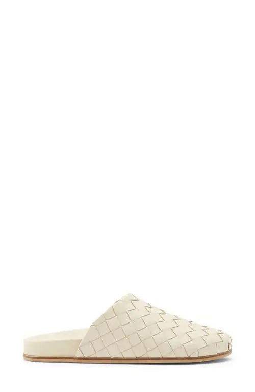 Intentionally Blank Aggie Clog