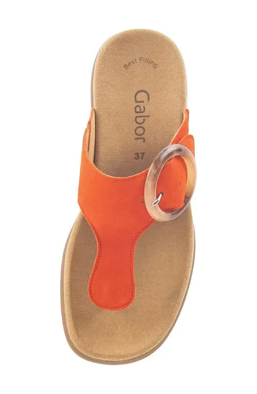 Gabor Buckle Flip Flops - Pumpkin