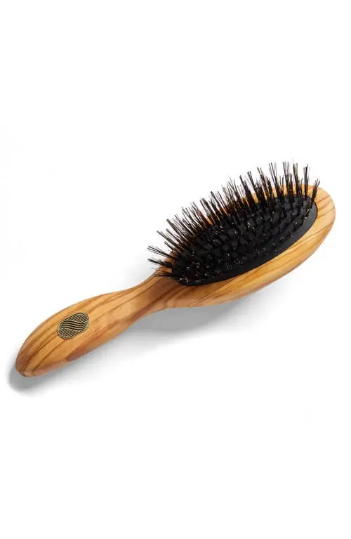 ALTESSE STUDIO Beaute Petite Repair & Shine Brush For Fine To Medium Hair