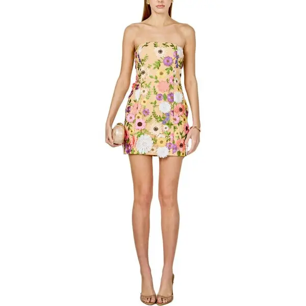 Endless Rose Floral Embroidered Strapless Minidress