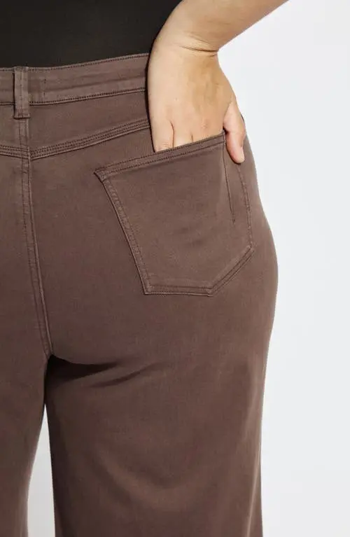 Lyssé Iris Flat Front Wide Leg Jeans - Asutex Double Espresso