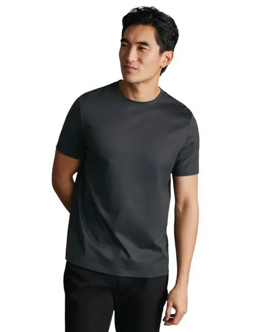 CHARLES TYRWHITT Cotton Crew Neck T-shirt - Graphite Grey