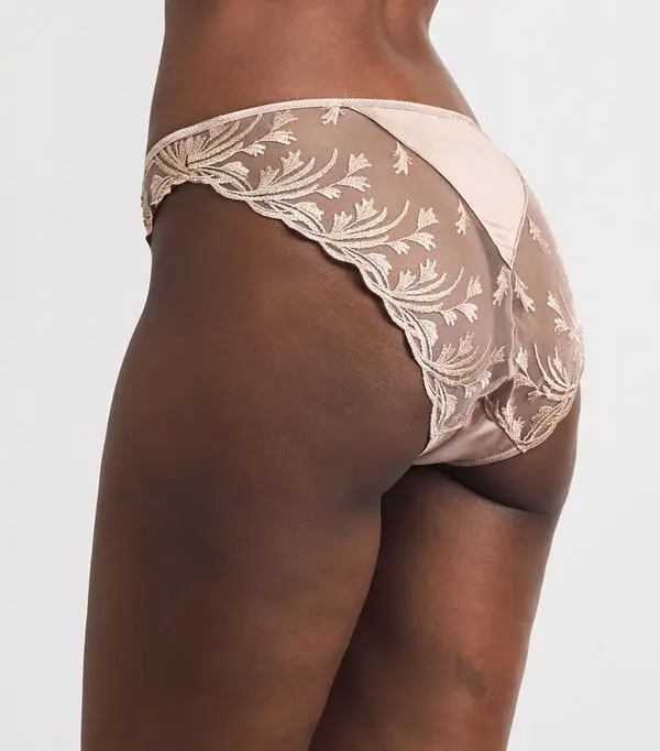 AUBADE Lace Cosmic Romance Italian Briefs