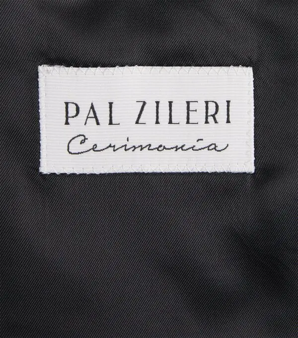 Pal Zileri Jacquard 2-piece Suit