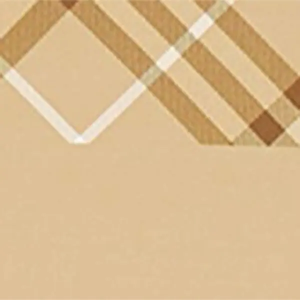 Burberry Silk Archive Ekd Scarf - Neutral